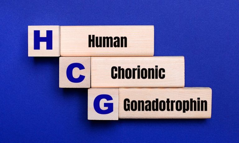 HCG: What Is It and How Can It Help You Lose Weight?